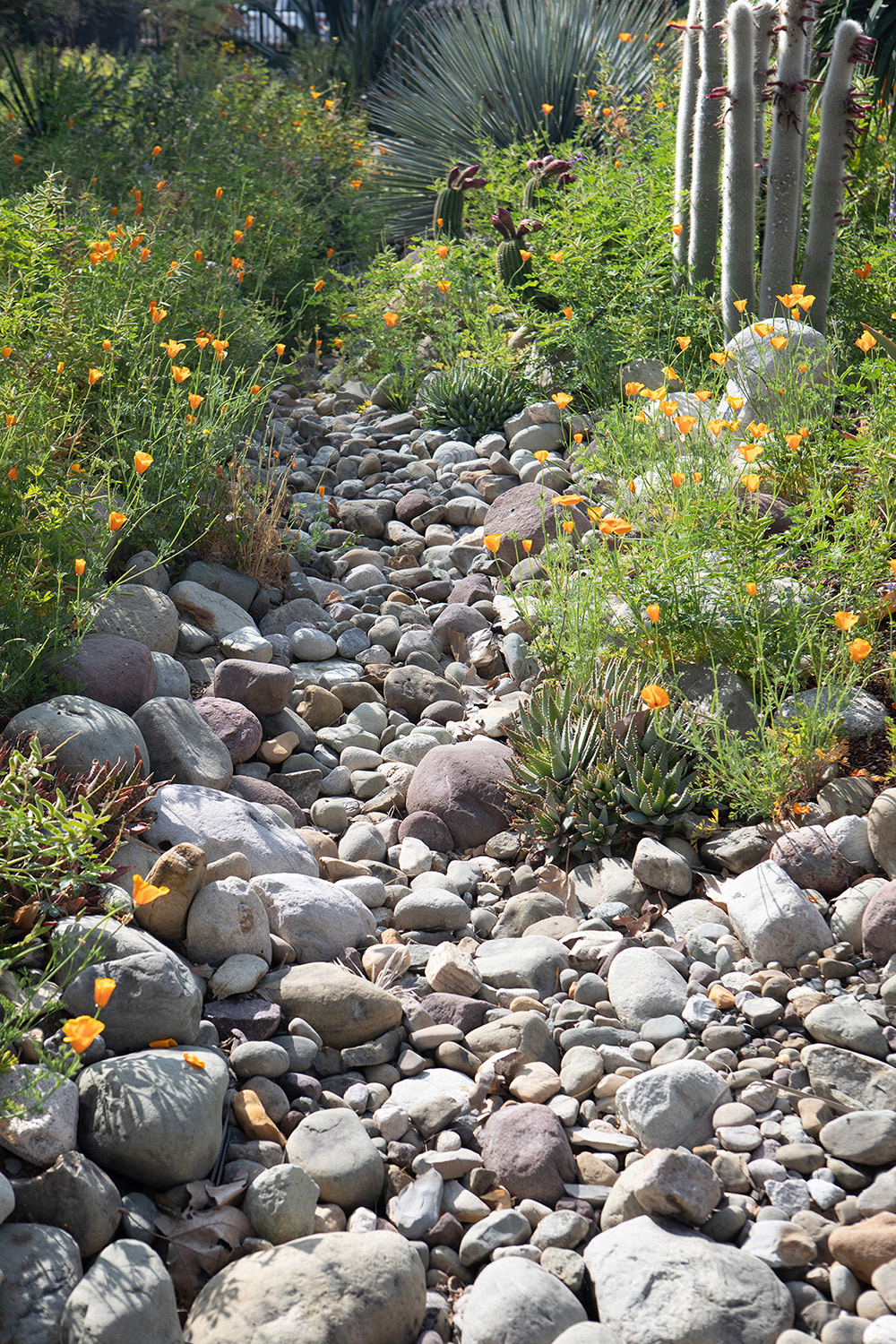 Chino Basin Water Conservation District - Natural Earth Sustainable ...