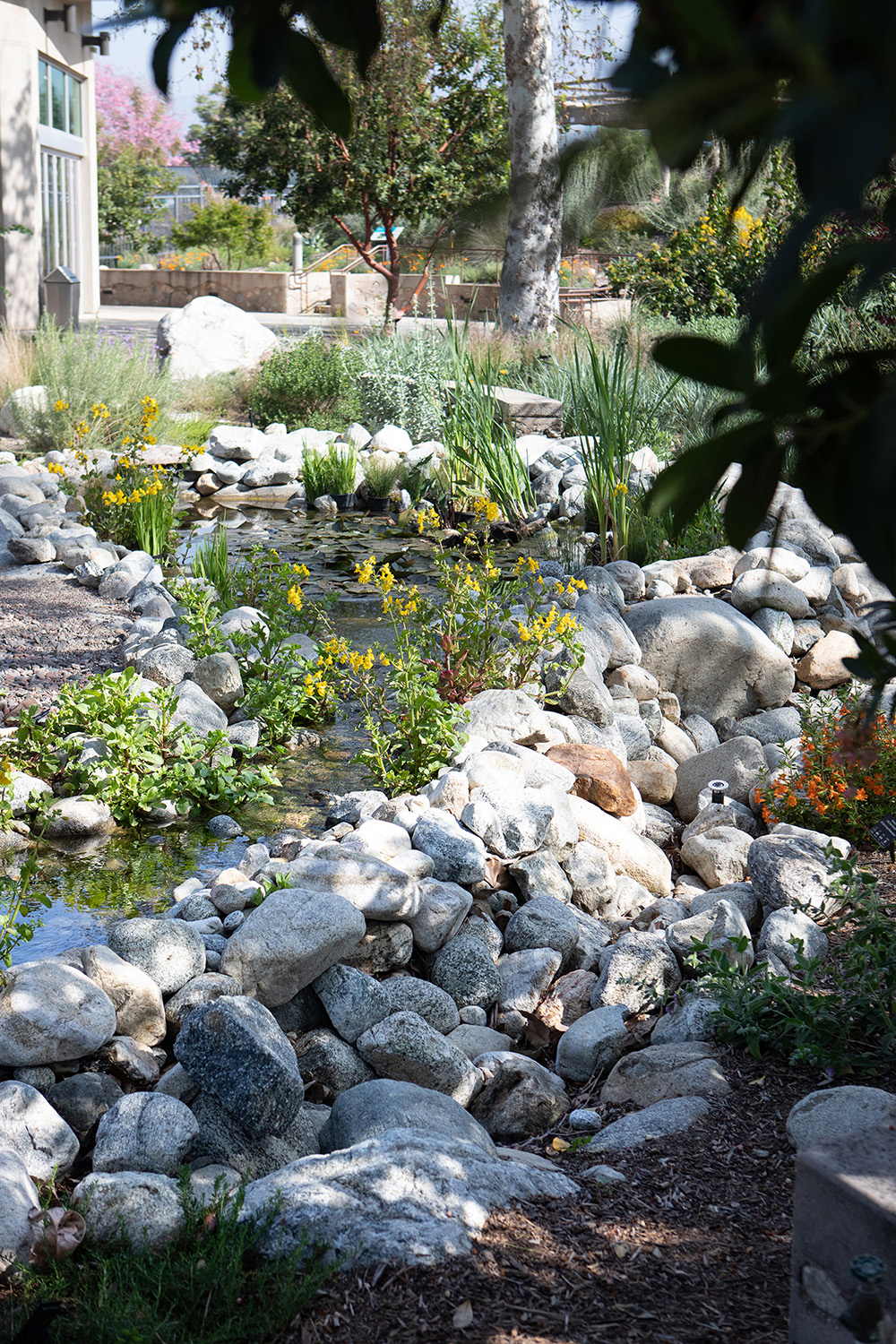 Chino Basin Water Conservation District - Natural Earth Sustainable ...