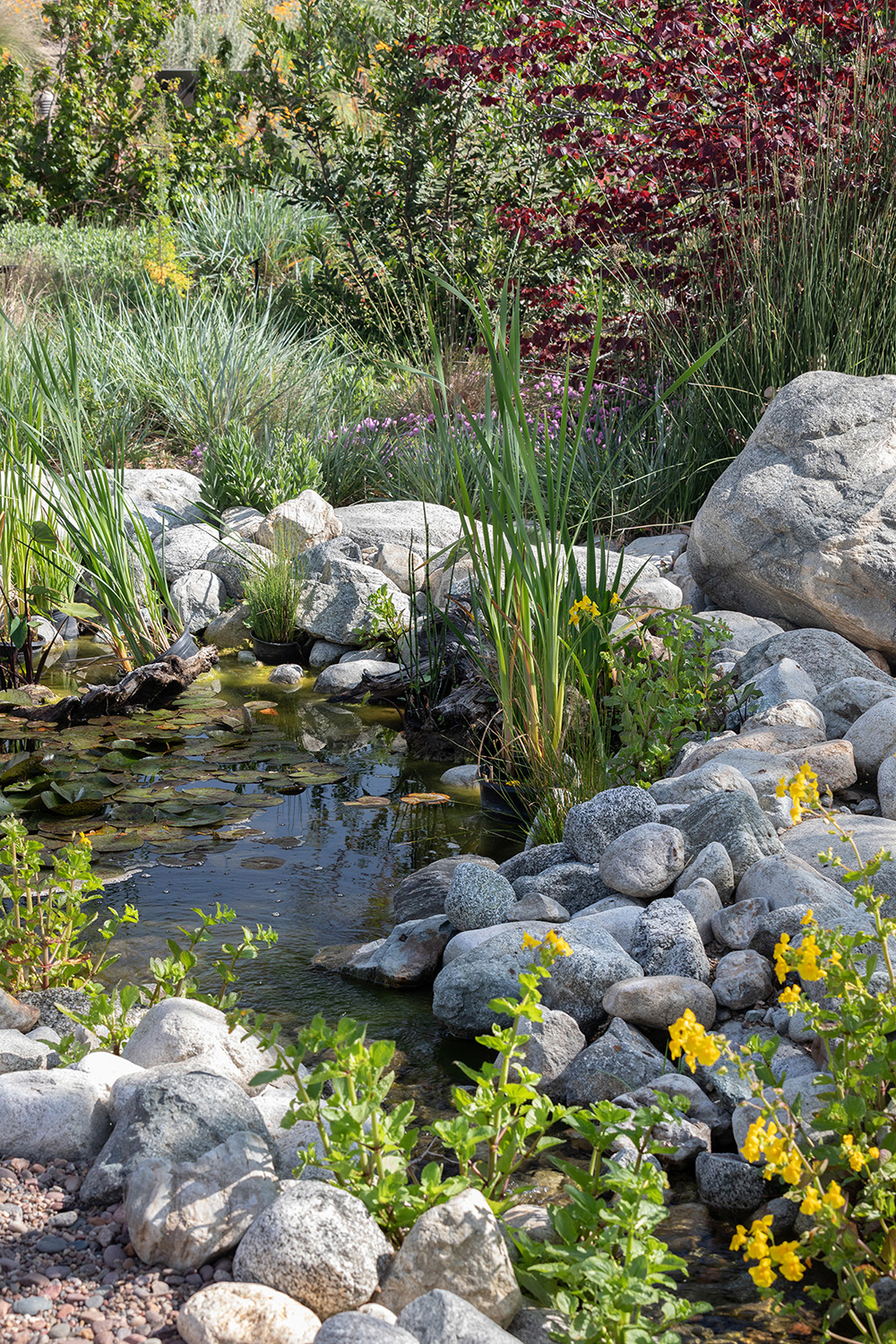 Chino Basin Water Conservation District - Natural Earth Sustainable ...