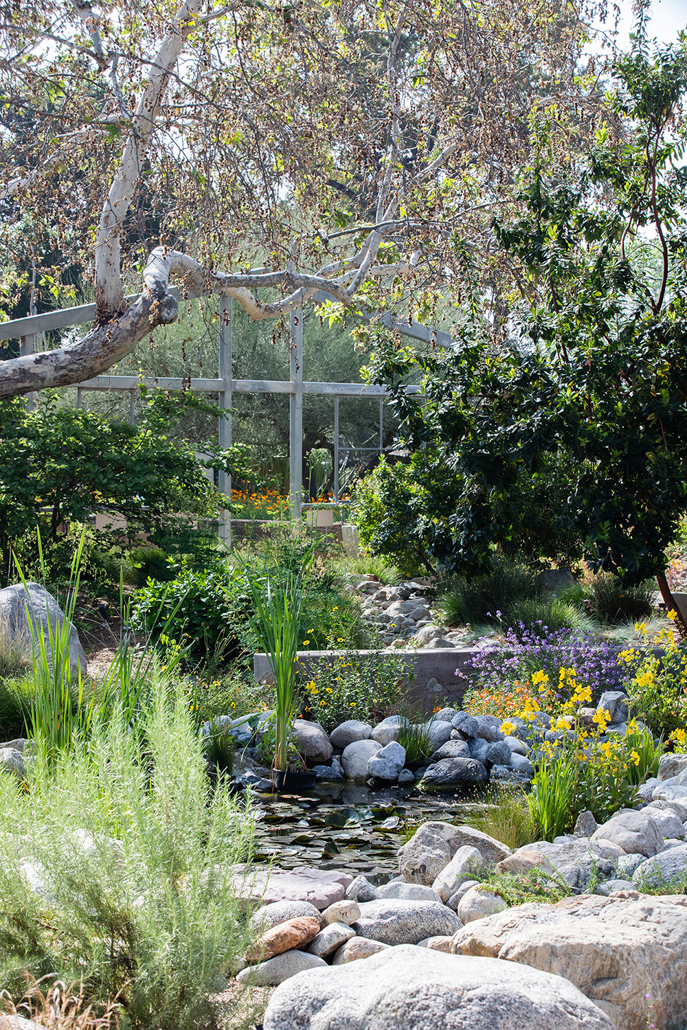 Chino Basin Water Conservation District - Natural Earth Sustainable ...