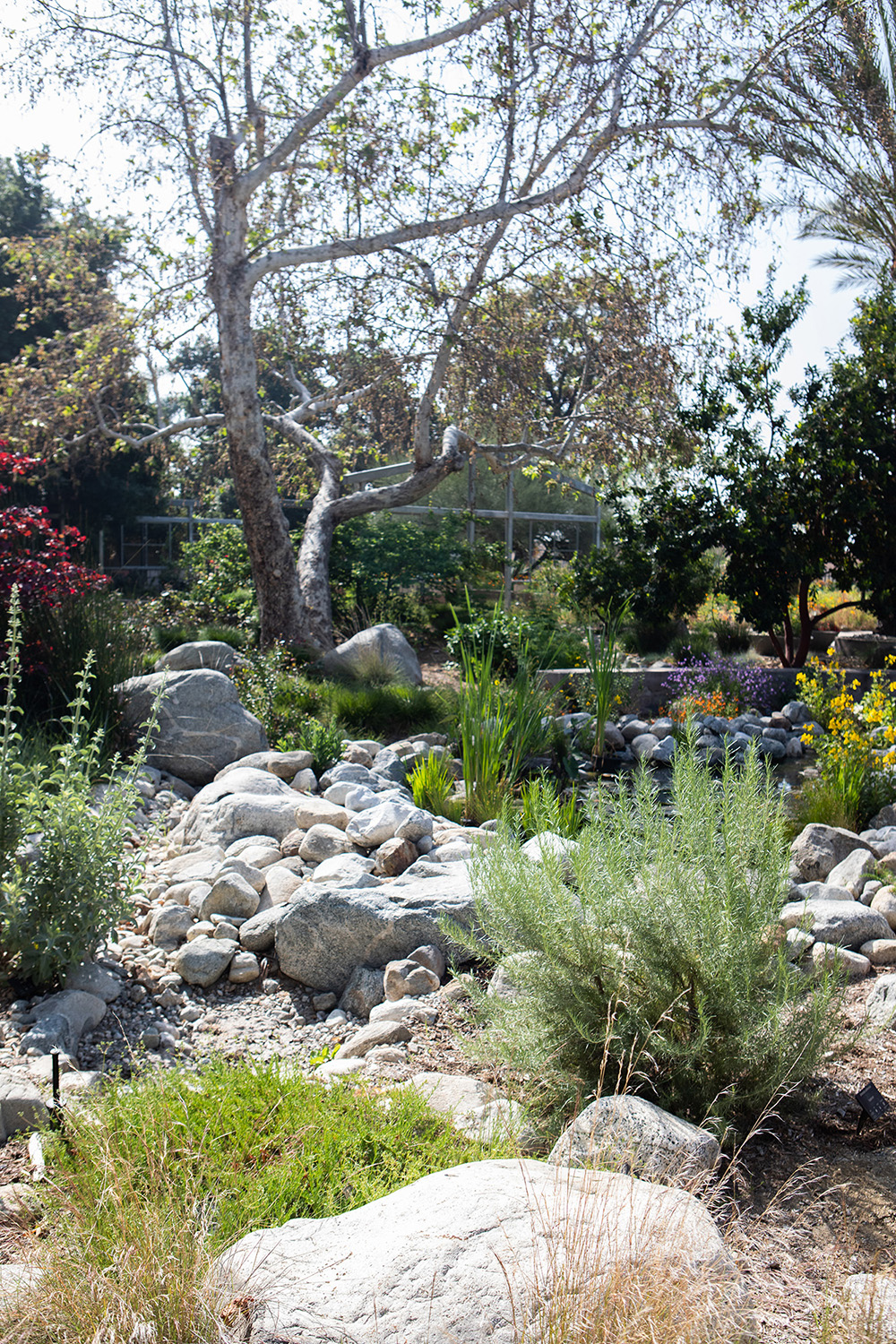 Chino Basin Water Conservation District - Natural Earth Sustainable ...