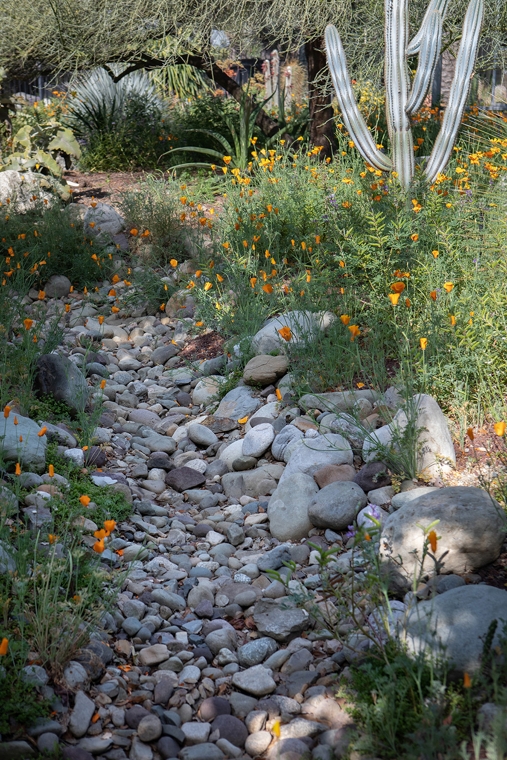Chino Basin Water Conservation District - Natural Earth Sustainable ...